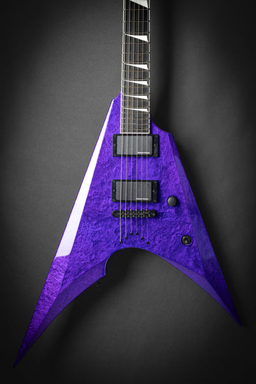 ESP Custom Shop – Guitars Rebellion