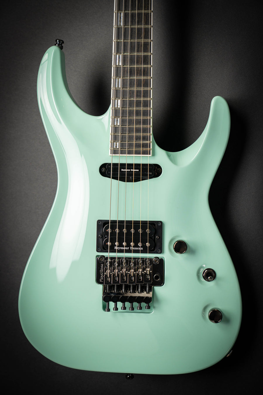 ESP Custom Shop – Guitars Rebellion