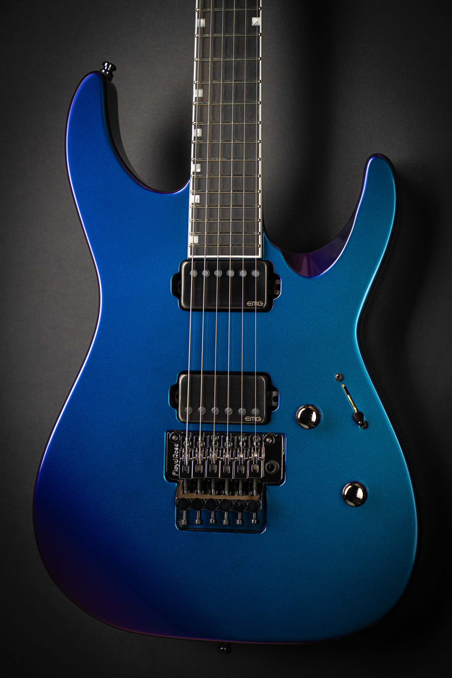 ESP Custom Shop – Guitars Rebellion