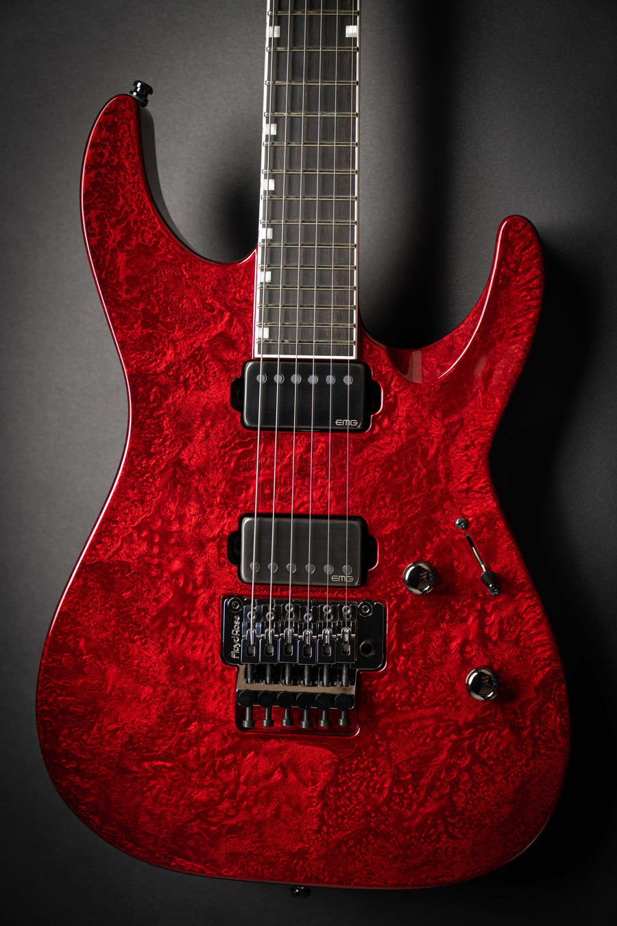 ESP Custom Shop – Guitars Rebellion