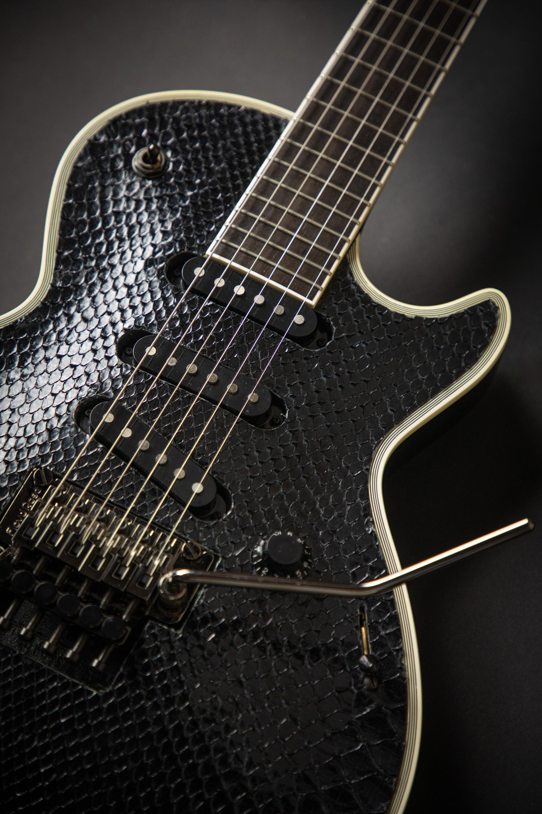 ESP Custom Shop Eclipse S-I Python – Guitars Rebellion