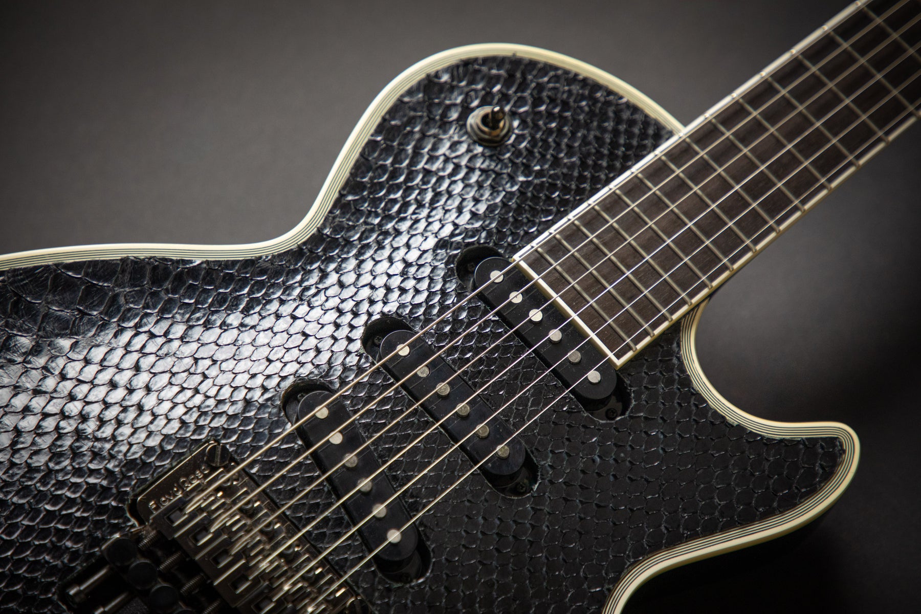 ESP Custom Shop Eclipse S-I Python – Guitars Rebellion