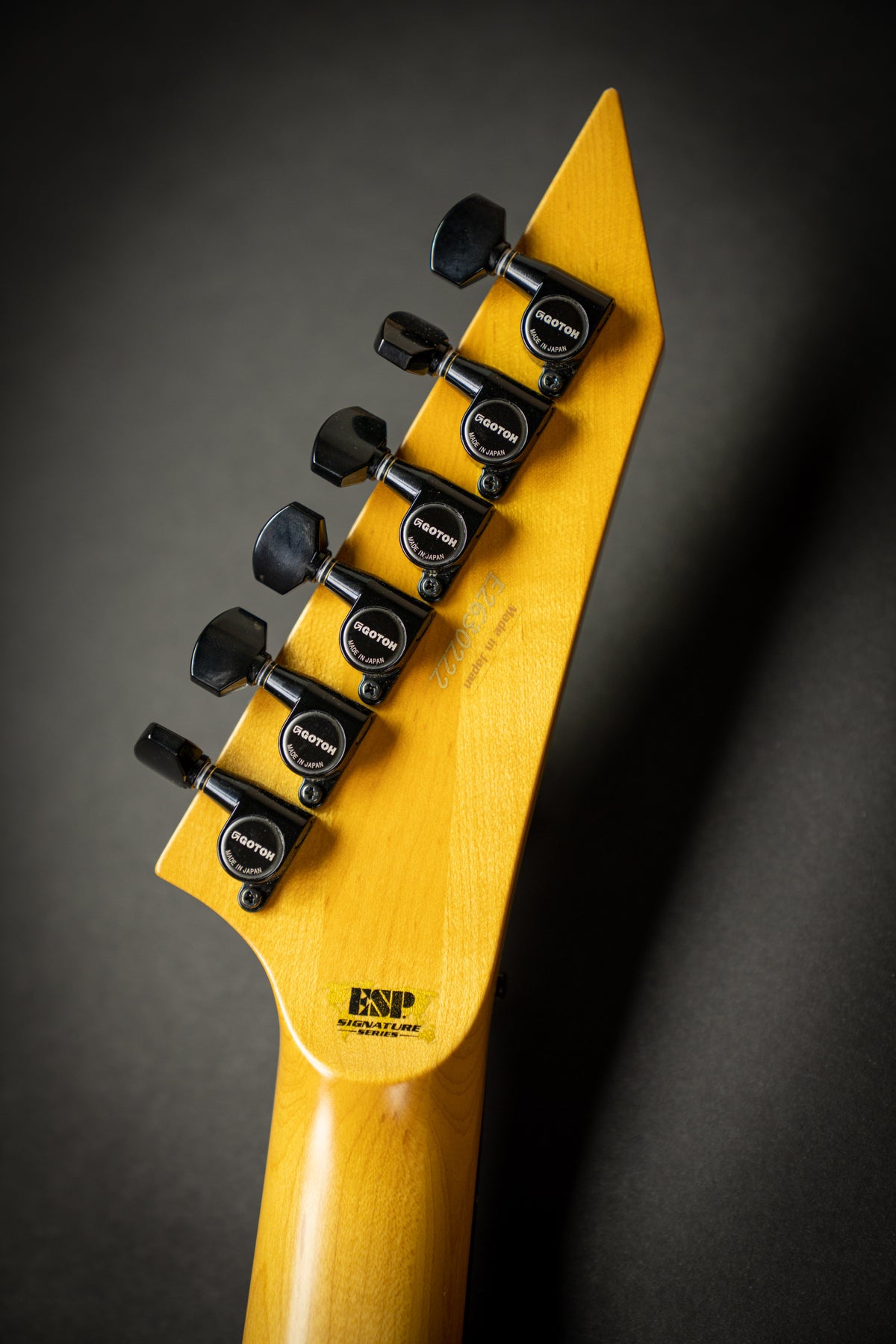 ESP Custom Shop KH-2 Vintage (E2630222) – Guitars Rebellion